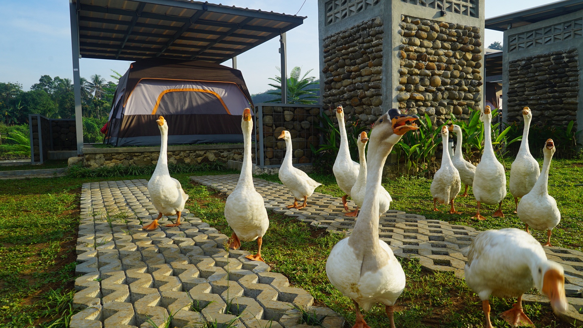新しく出来た釣り堀Batoo Farm Adventureに行ってきた。 – 釣りにいってきます。